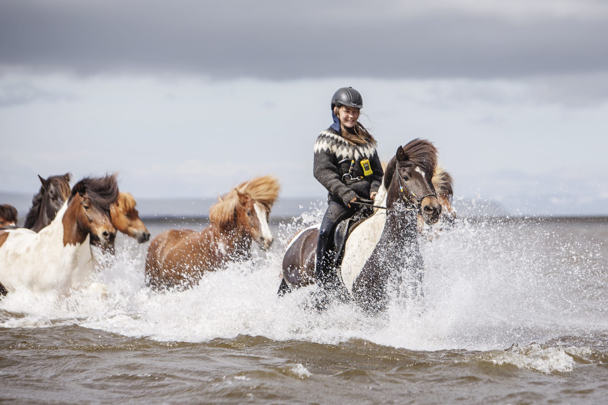Horseback riding in north Iceland - Islandshestar.is