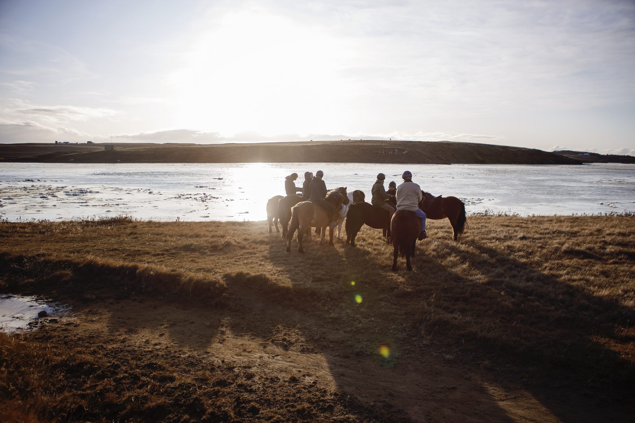 Volcano ride at Kálfhóll farm - Islandshestar.is