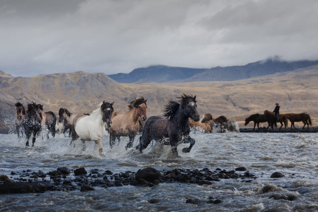 Iceland’s Top 5 horse riding locations - Islandshestar.is