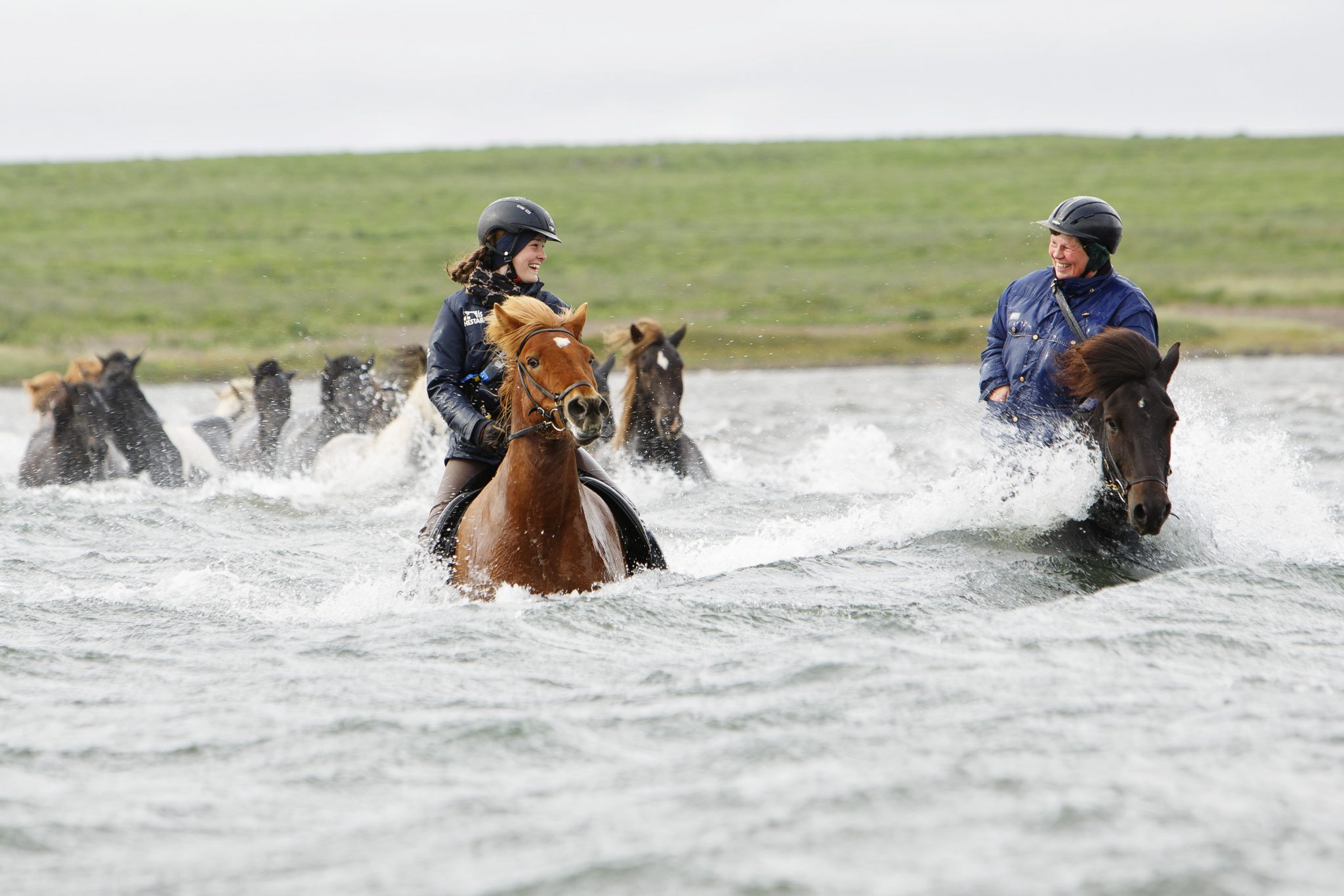 Horseback riding in Iceland with Íslandshestar - Islandshestar.is