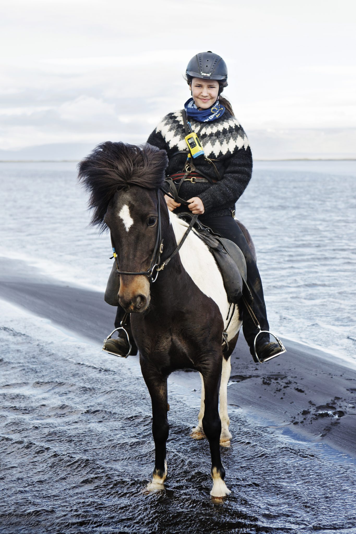 Horseback riding in Iceland - Islandshestar.is