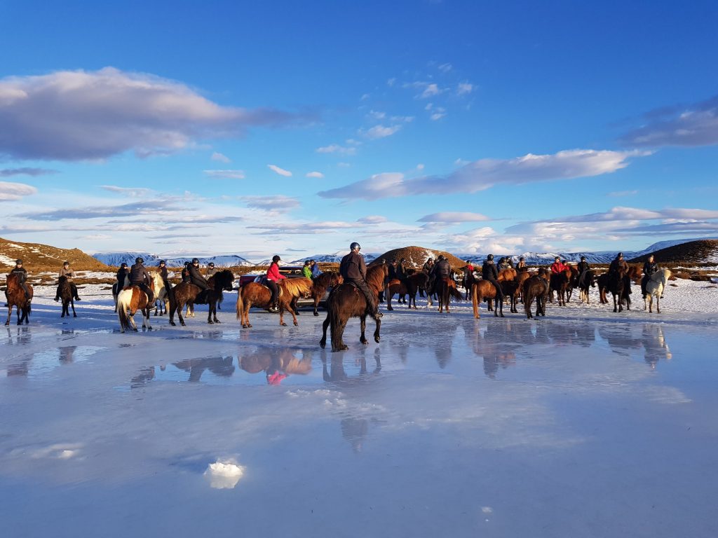 Volcano ride at Kálfhóll farm - Islandshestar.is
