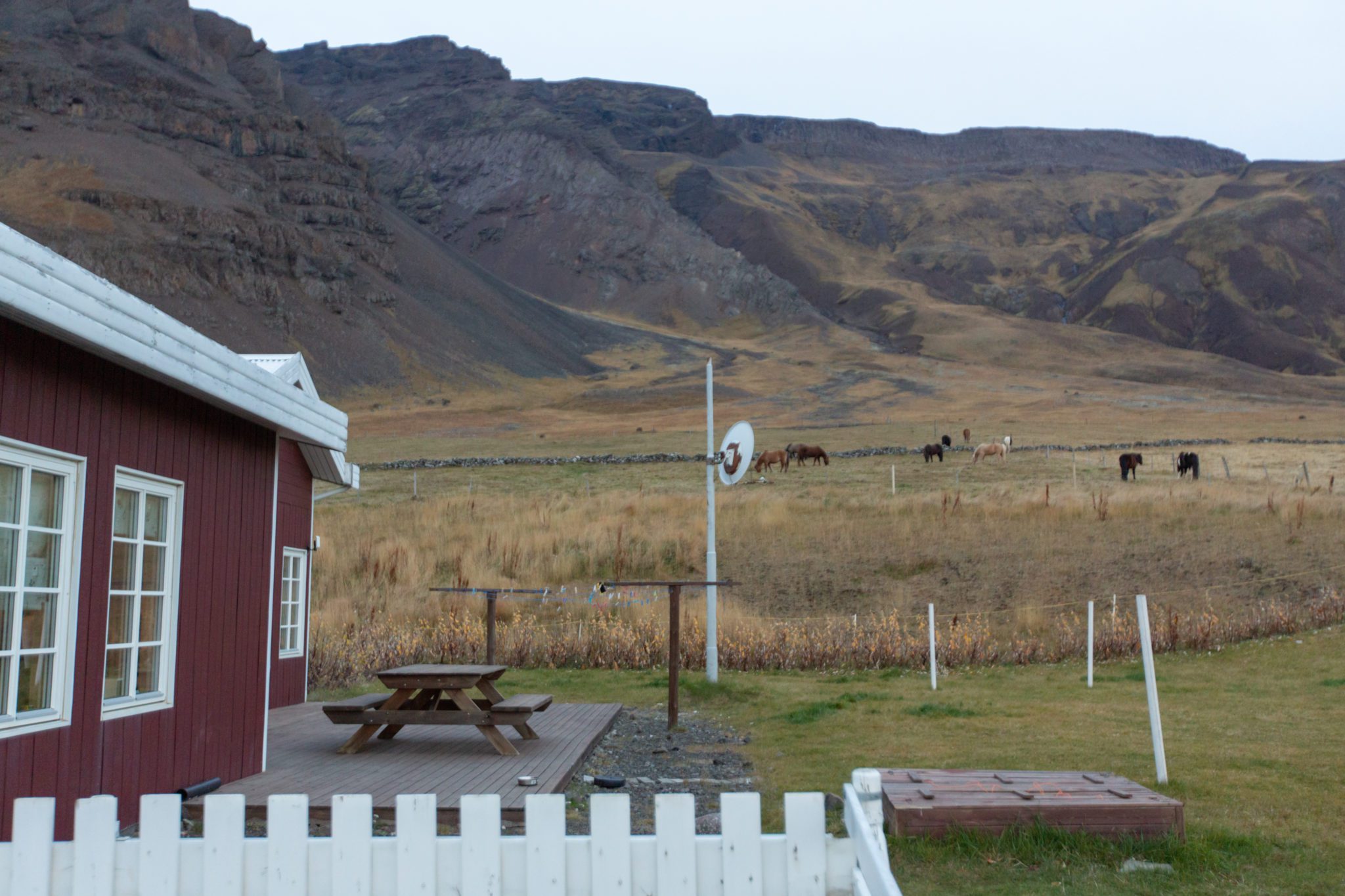 The Northern Highlands Trail - Islandshestar.is